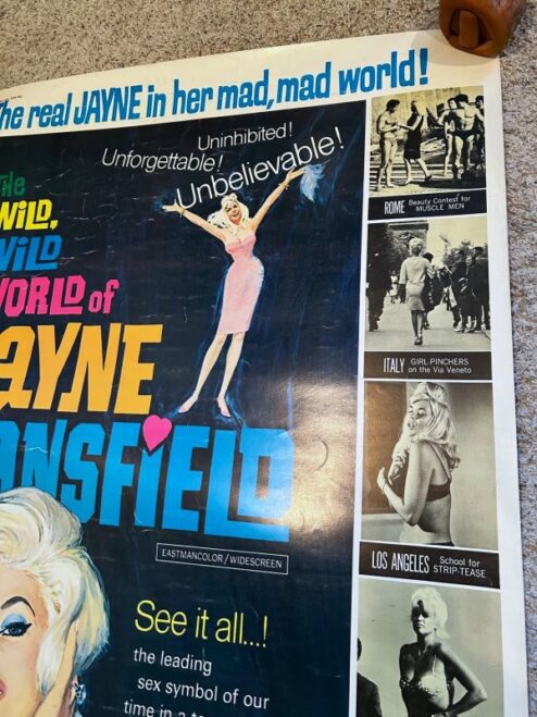 The Wild, Wild World of Jayne Mansfield (1968) – Original 40″x60″ Movie ...